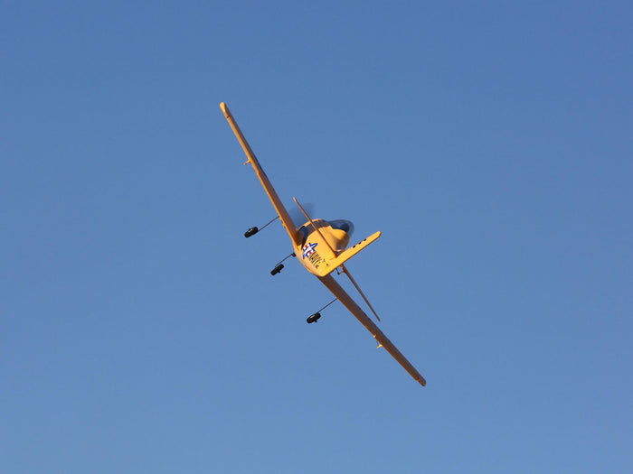 Realistic Replica Scale Model Planes | Radio Control – Sussex Model Centre